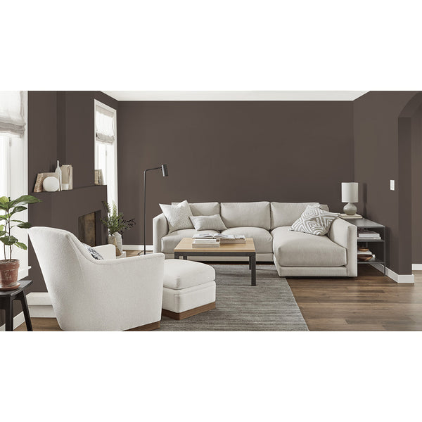 RBH0141 Rawhide | Room & Board Paint - [Hirshfield's] Room & Board